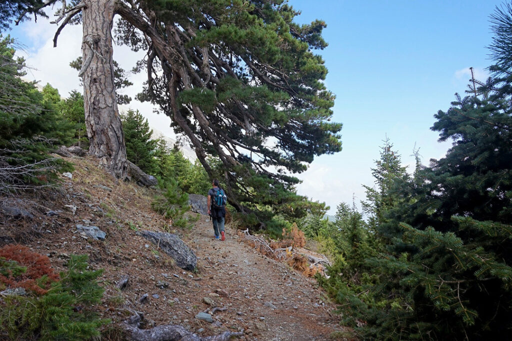 Hiking Mount Taygetus